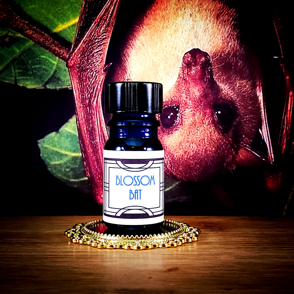 Blossom Bat