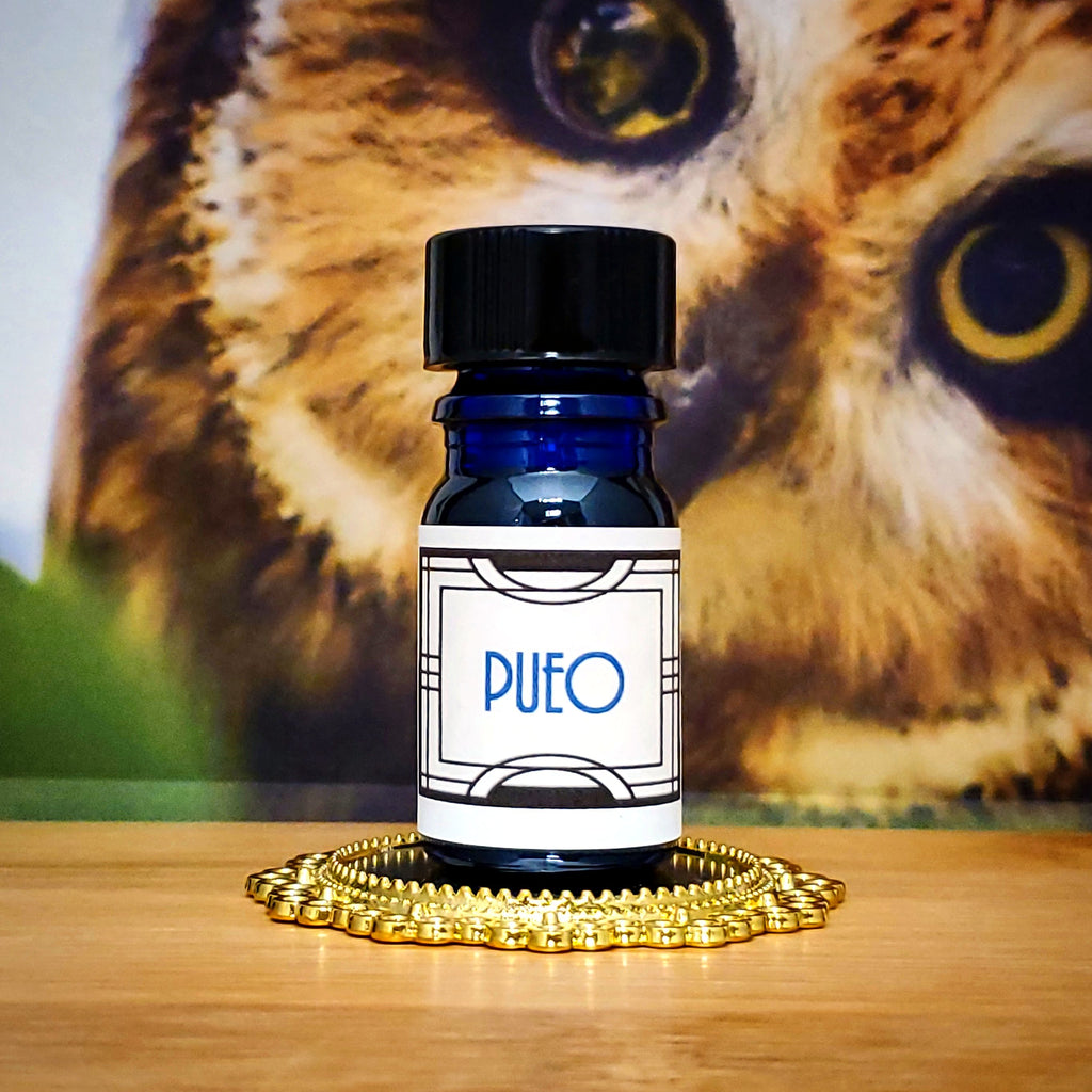 Pueo: Short-Eared Owl